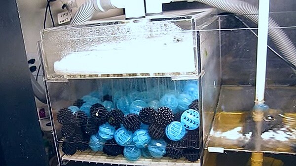 Wet/Dry sump filters for freshwater and reef tanks