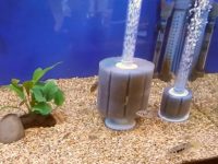 Best aquarium filters from various types – reviews & guide