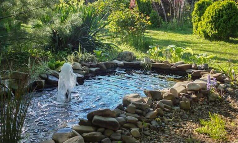 Understanding How To Seal A Pond Naturally – Love Fish Tank